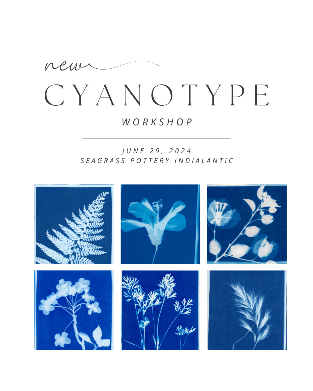 Cyanotype Workshop | Seagrass Pottery