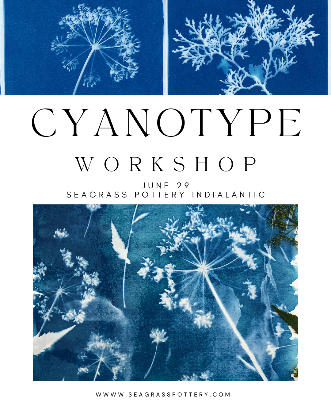 Cyanotype Workshop | Seagrass Pottery